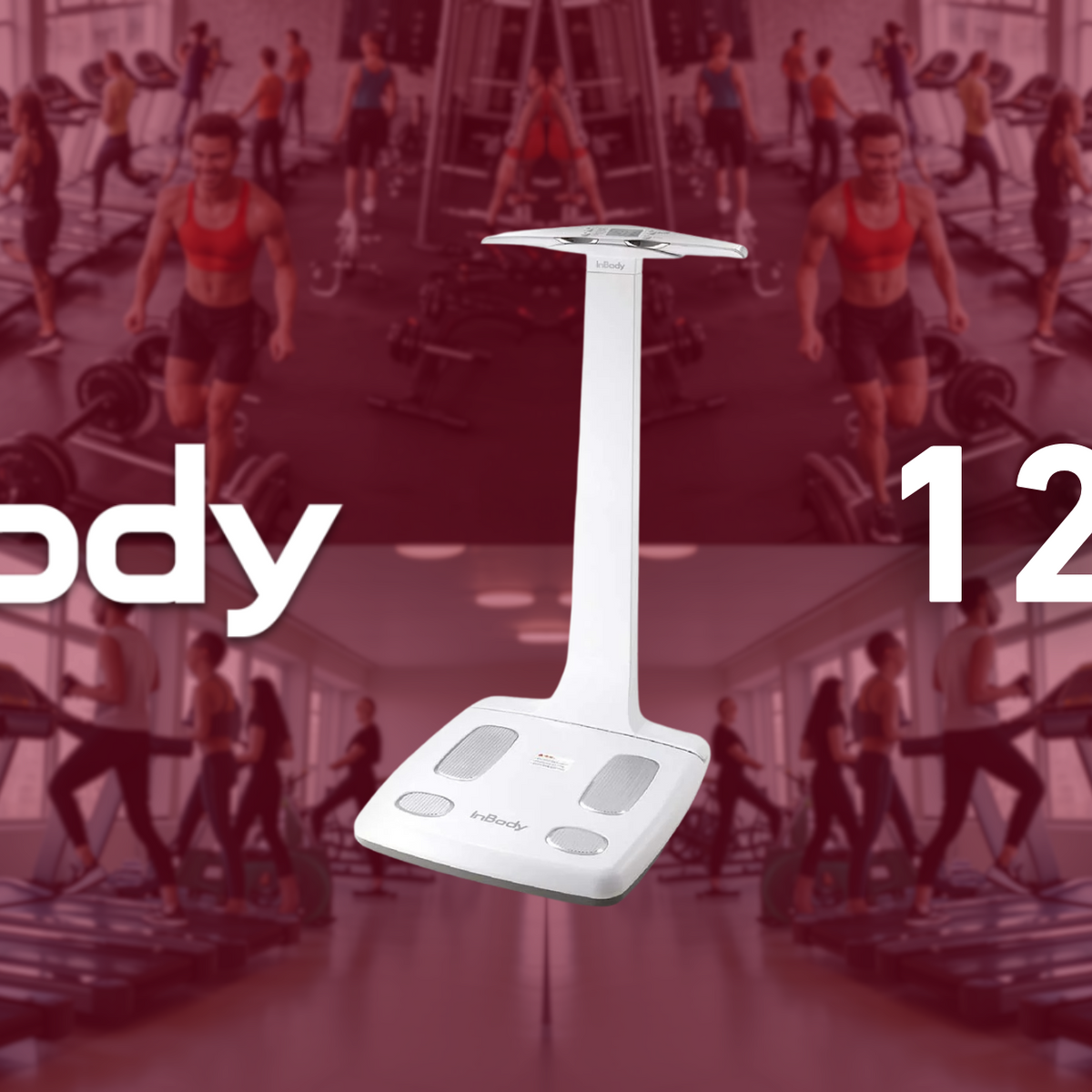InBody 120 Review: Everything You Should Know [Updated] – Wellness Terminal