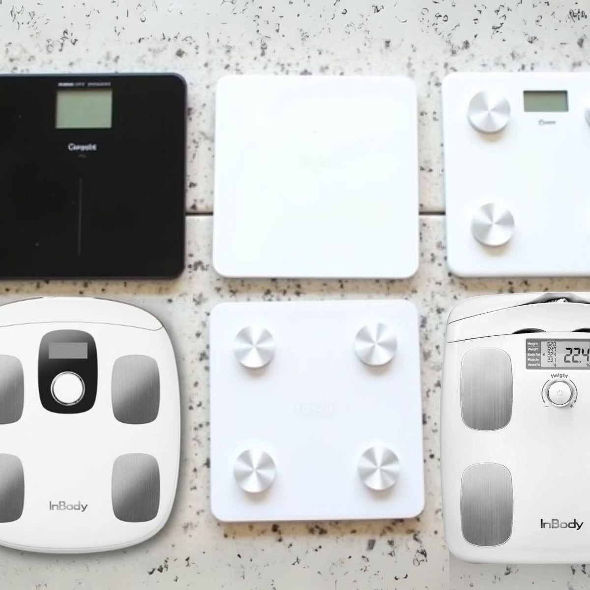 Top 5 Body Composition Scales For Home Use In 2025 – Wellness Terminal